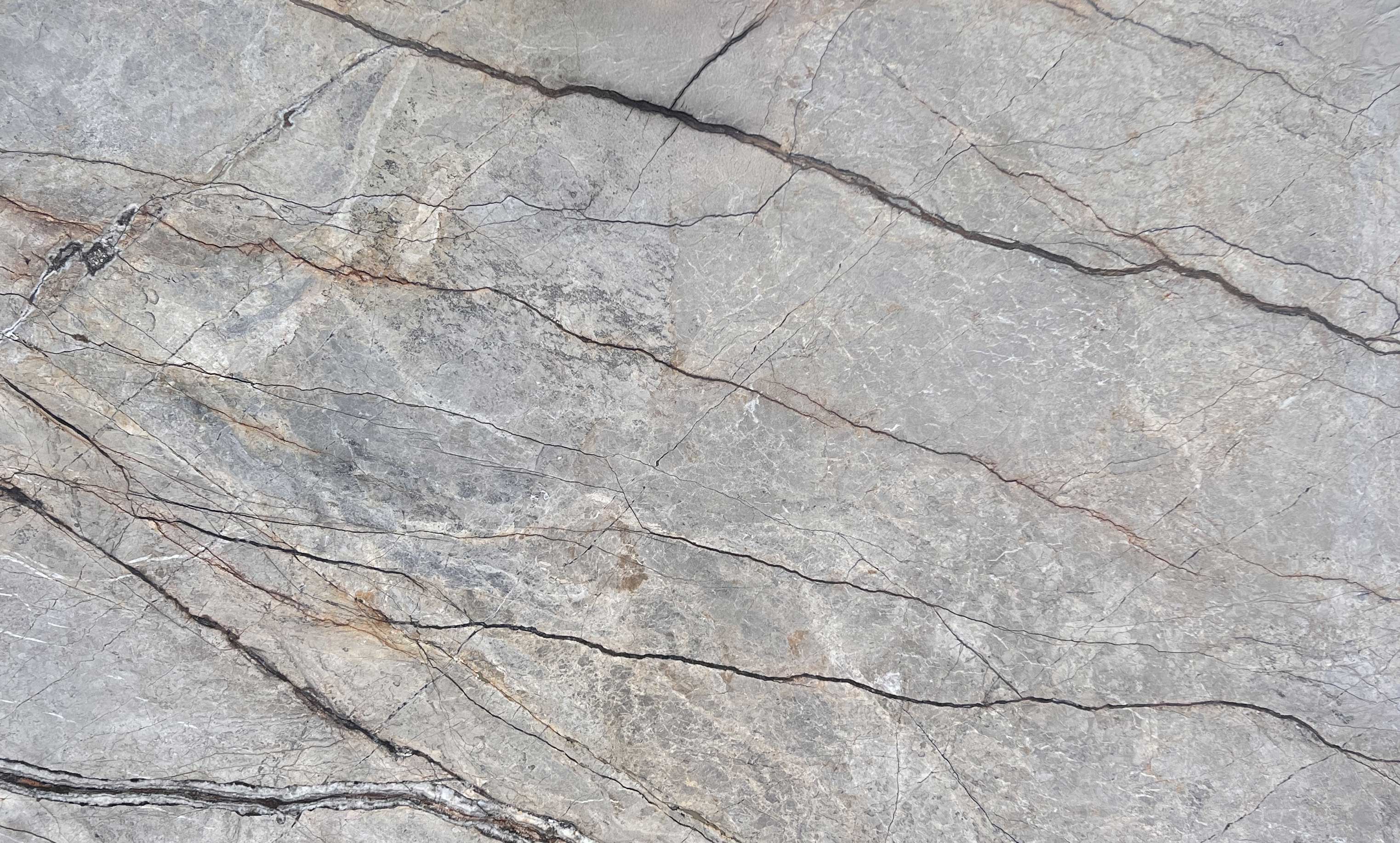 Silver Roots